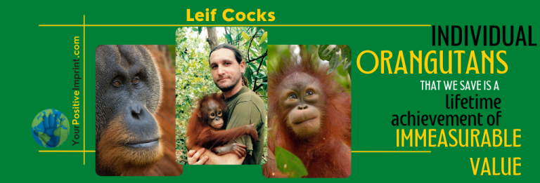 Saving the Orangutan from Extinction. Leif Cocks - Your Positive Imprint